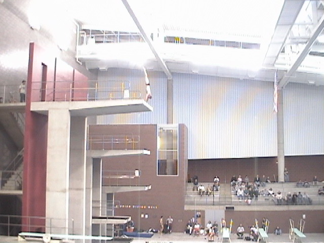 Global Stunt Directory and Professional Stunt Registry