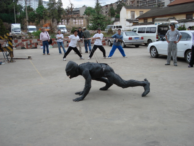 Global Stunt Directory and Professional Stunt Registry