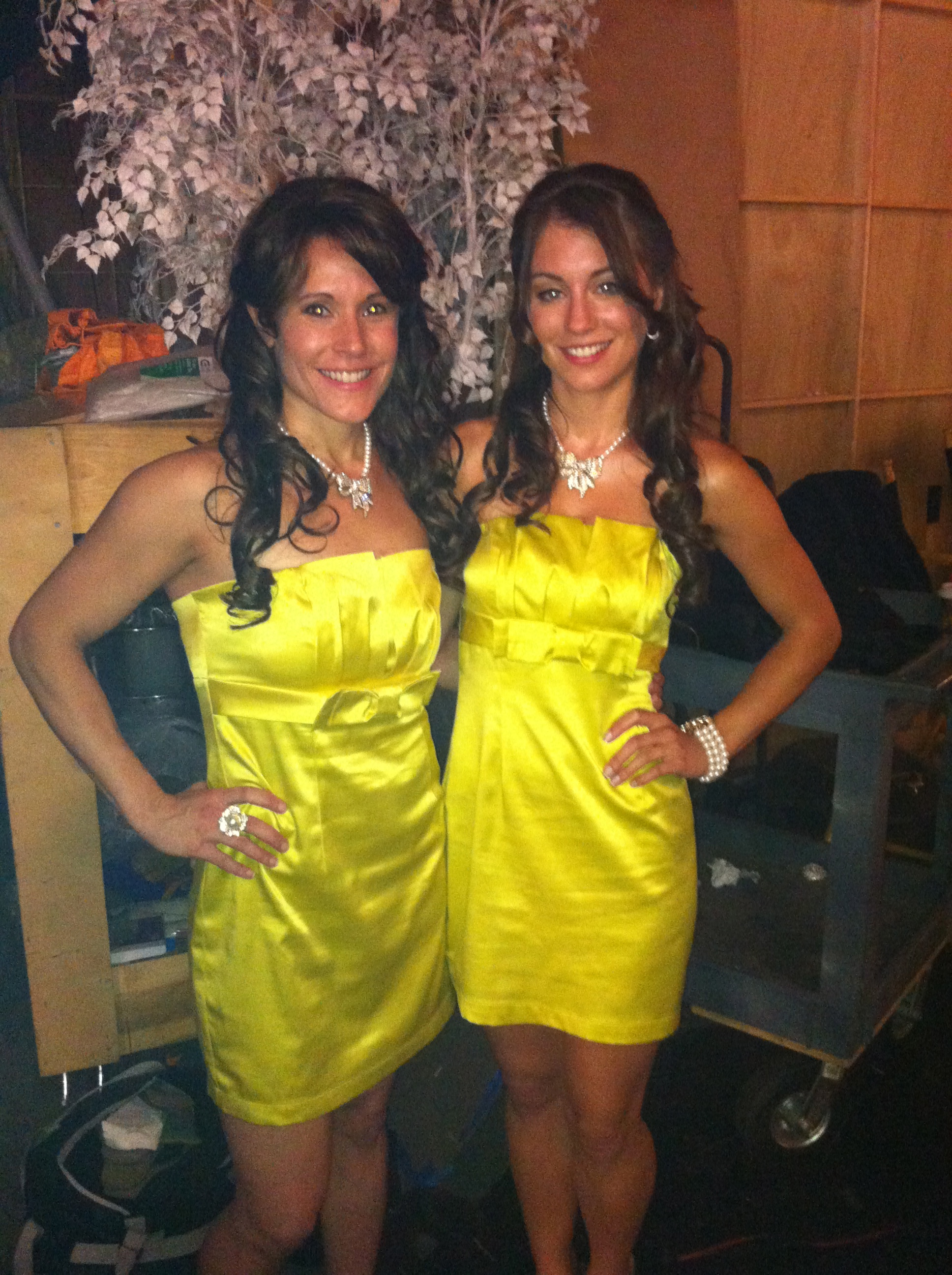 Global Stunt Directory and Professional Stunt Registry