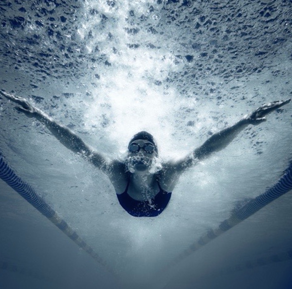 Global Stunt Directory and Professional Stunt Registry