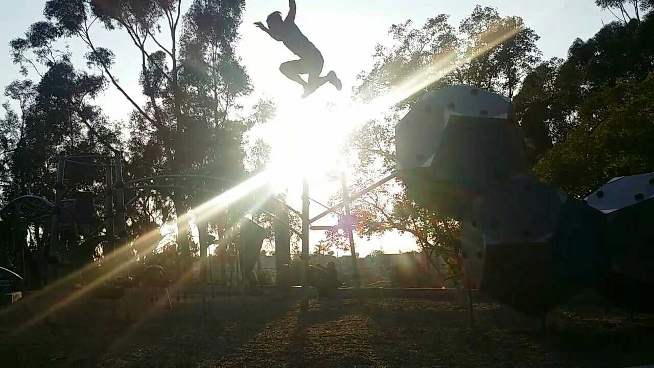 Global Stunt Directory and Professional Stunt Registry