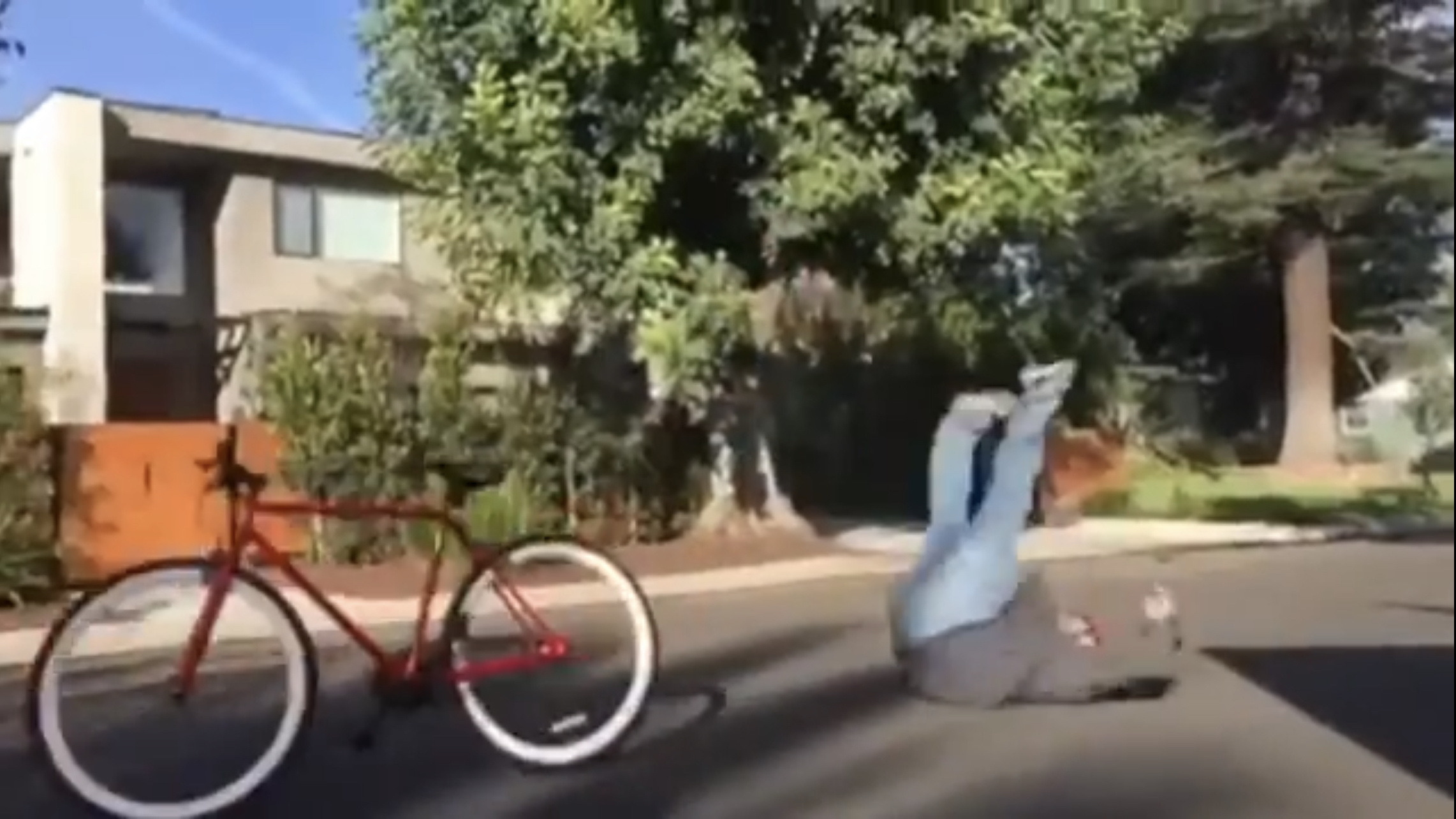 Global Stunt Directory and Professional Stunt Registry