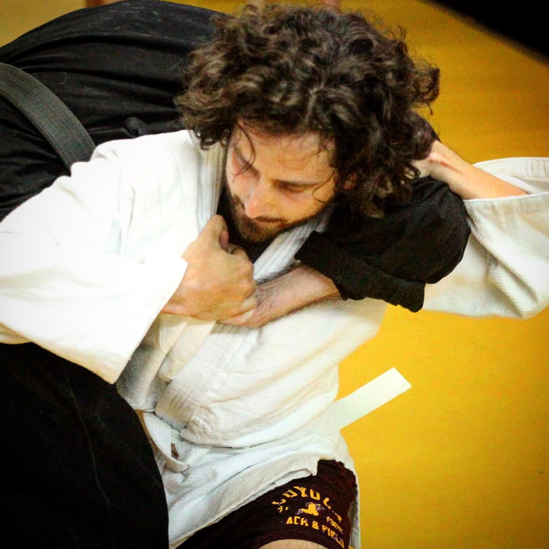 Global Stunt Directory and Professional Stunt Registry