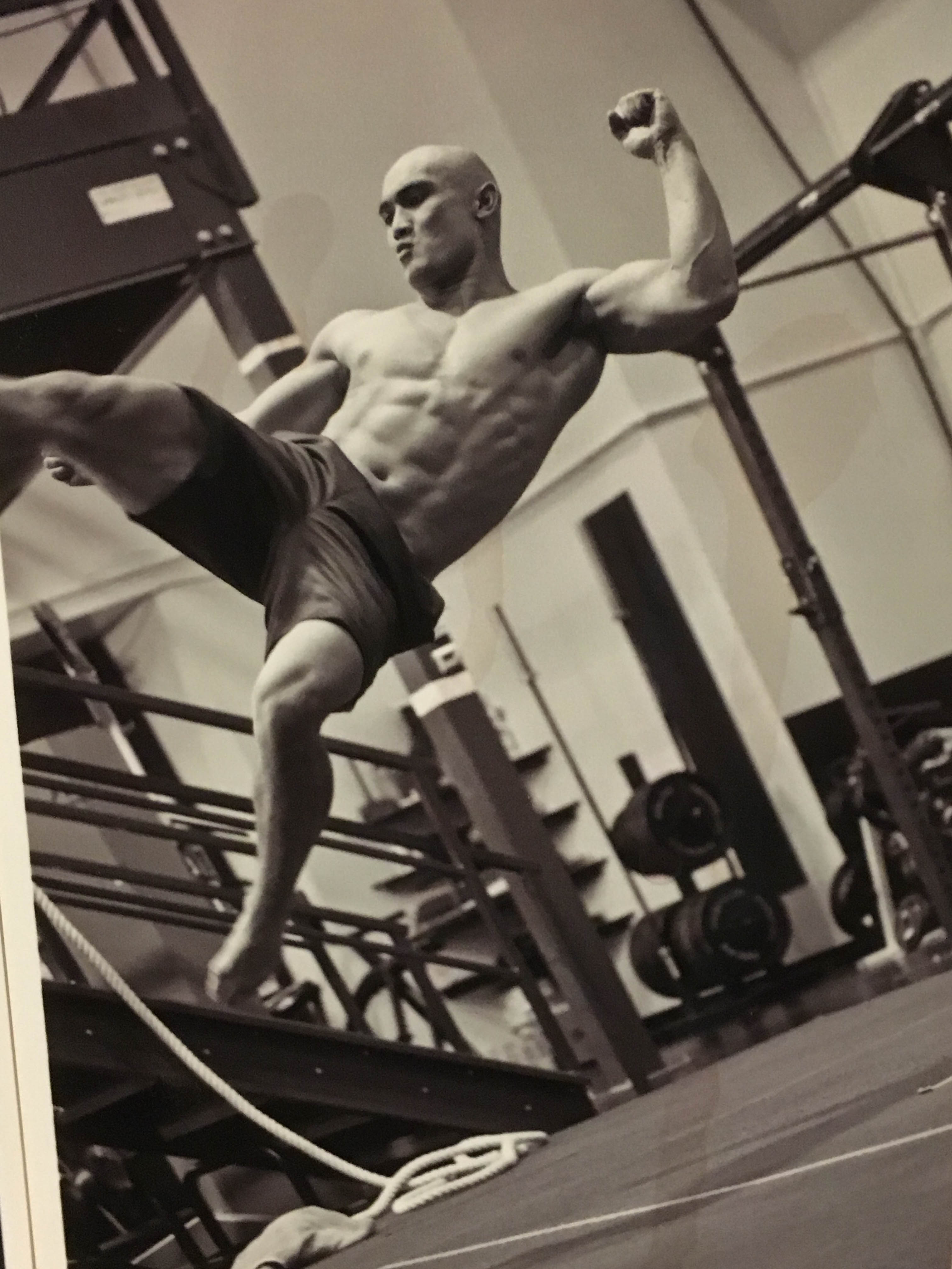 Global Stunt Directory and Professional Stunt Registry